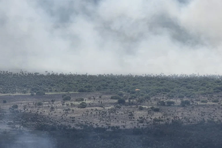 Ciencia Celeste - El Mundo y Ciencia Celeste: Argentina: mapa revela ...